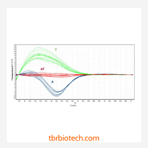 SensiFAST™ HRM Kit, BIO-32005 (500 Reactions), BIO-32020 (2000 ...