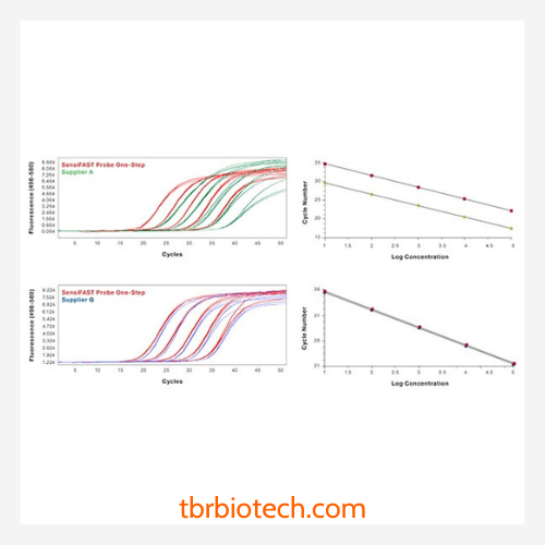 SensiFAST™ Probe Hi-ROX One-Step Kit, BIO-77001 (100 x 20µl Reactions ...